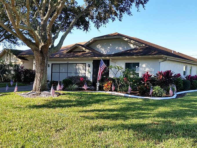 Your new front yard might just be greener than your neighbor's envy.