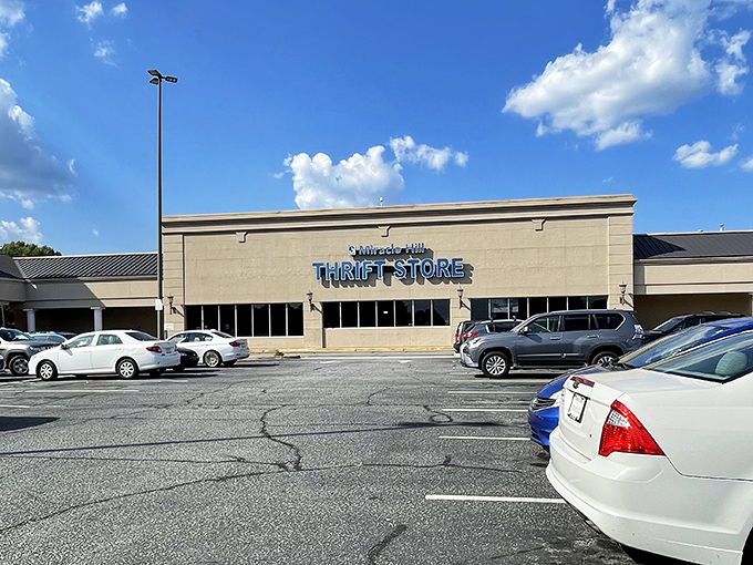 The bustling parking lot proves this isn't just shopping - it's a community gathering place for deal seekers.