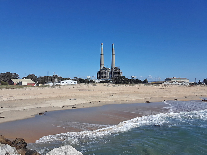 Those power plant towers might not win beauty contests, but the fish don't seem to mind.