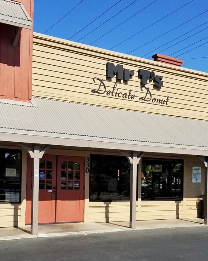 Mr. T's rustic charm proves that the best comfort food often comes from the most unassuming places.