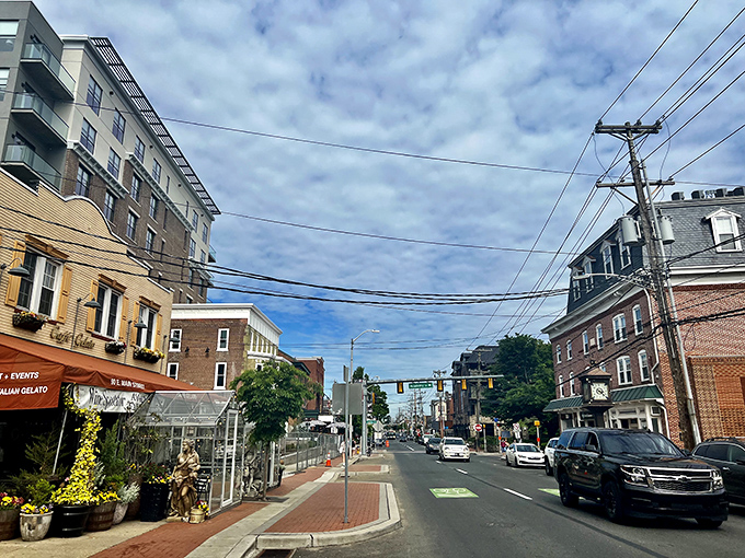 Tree-canopied roads create natural tunnels of green where university town meets residential tranquility beautifully.