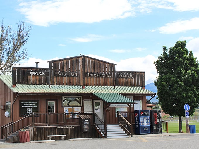 This agricultural hub proves that sometimes the best entertainment is watching the world go by slowly. 