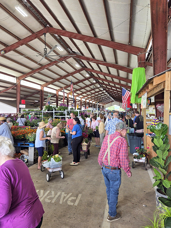 Covered pavilions protect shoppers while they hunt for everything from garden plants to vintage collectibles and hidden gems.