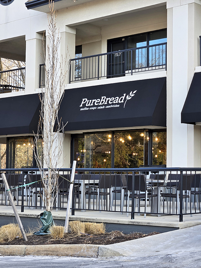 Clean lines and fresh ingredients &ndash; proof that contemporary style can still serve up soul-satisfying meals.