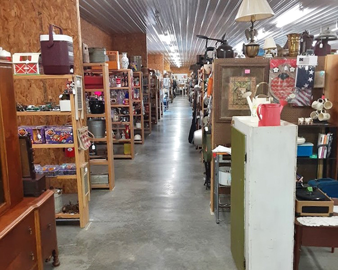 Endless aisles stretch like highways of hidden gems waiting for the perfect new home.