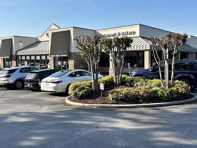 Clean lines and big windows mean you can watch the pancake magic happen in broad daylight.