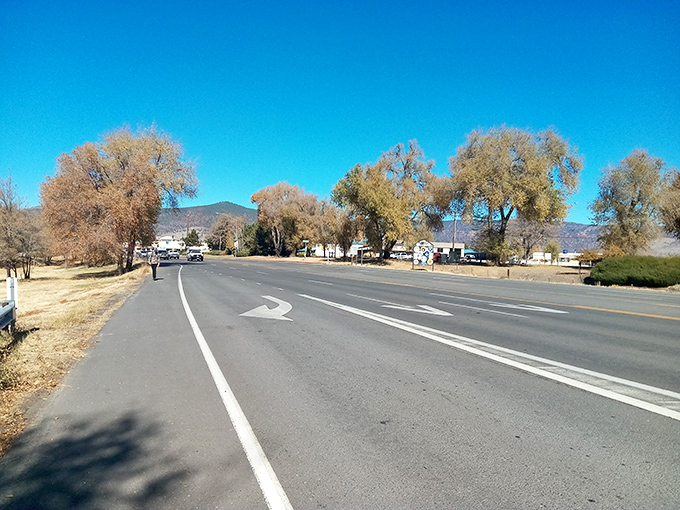 Desert meets mountain in this high country town where clean air comes free with residency.