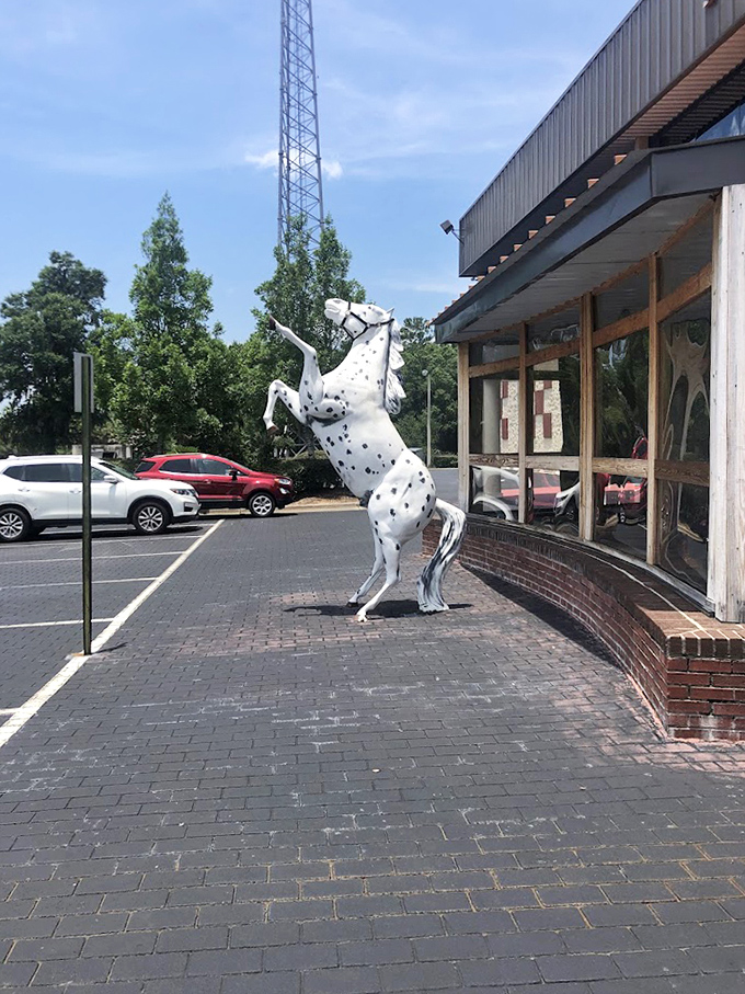 When museums embrace whimsy alongside serious collecting, you know you're in for a delightfully unexpected adventure.