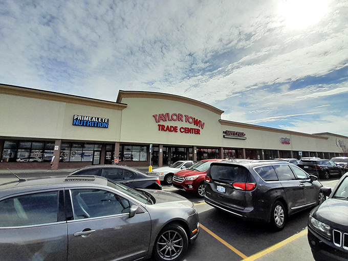 The spacious exterior of Taylor Town reveals organized chaos where practical meets nostalgic in perfect harmony.