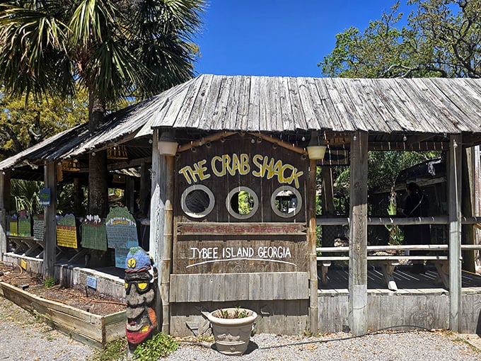 This rustic paradise looks like it grew from the marsh itself - authentically coastal perfection.