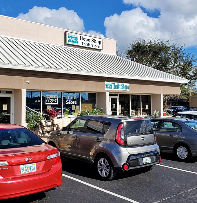 Clean, welcoming, and organized - everything a treasure hunter dreams of in their perfect thrift experience.