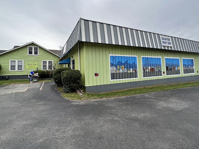 Behind those quaint curtains lies a wonderland of affordable treasures waiting to be discovered.