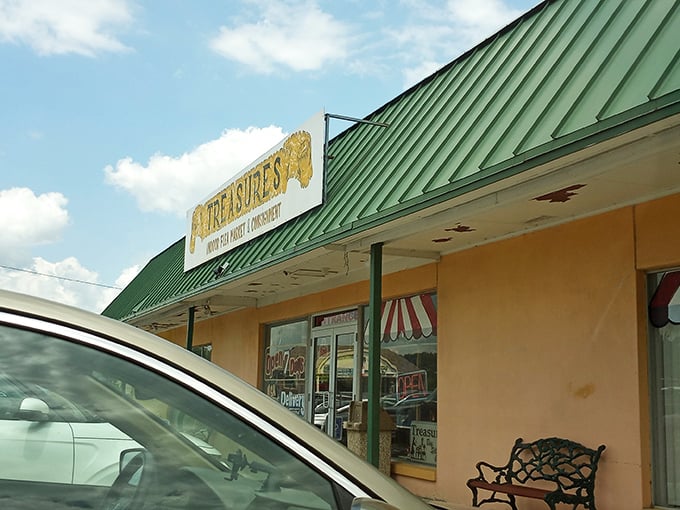 Sunshine gleams off Treasures' green roof, beckoning collectors to this suburban gold mine of possibilities.