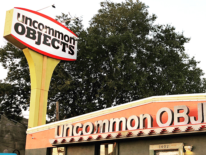 That retro sign promises exactly what you'll find—objects that are anything but common. It's like walking into someone's fascinating dream collection!