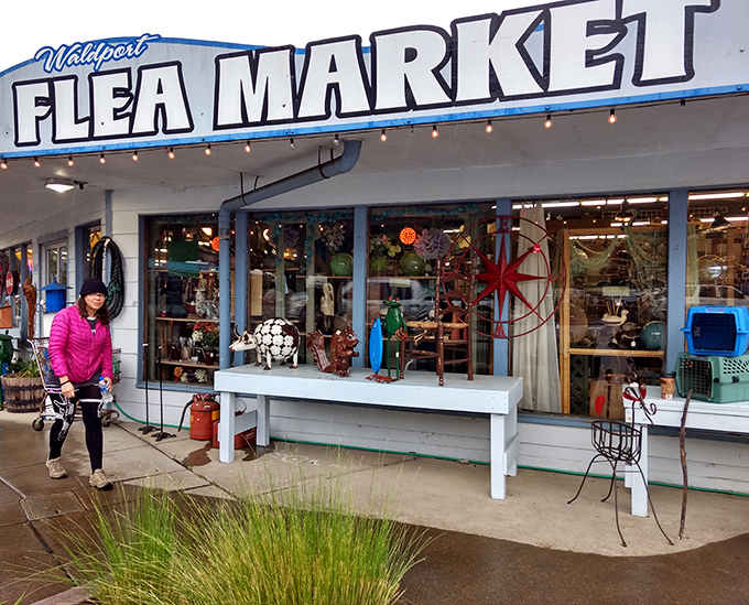 Waldport Flea Market's straightforward approach is refreshingly honest. No frills, no fuss, just fantastic finds waiting for their forever homes.