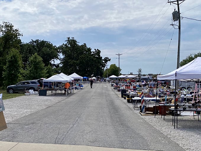 Nothing beats the thrill of browsing outdoor booths where every tent holds potential surprises and discoveries.