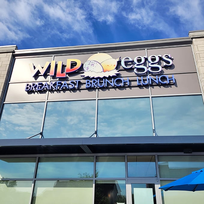 Modern comfort meets morning cravings - sometimes the best eggs come from places that look this inviting.