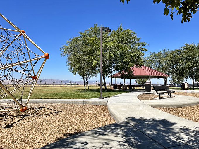The town park offers shaded picnic spots where your biggest worry is choosing the perfect tree.