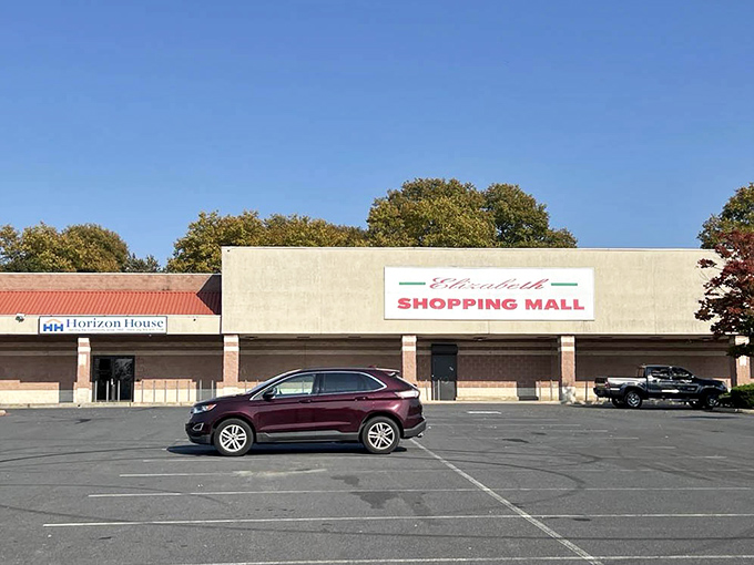 Inside this bustling marketplace, vendors and shoppers create a symphony of discovery and delightful deal-making conversations.