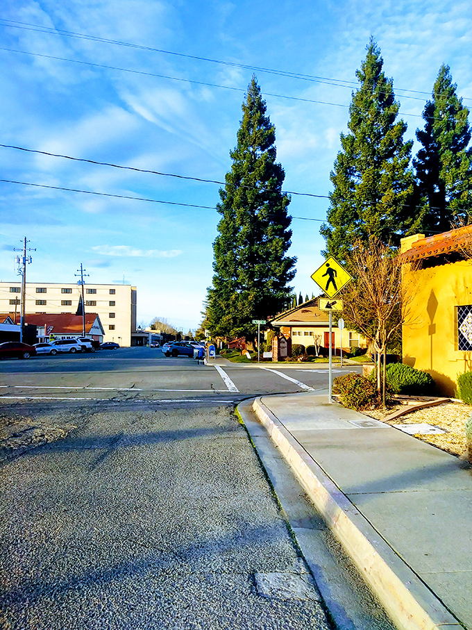 Open spaces and mature trees provide natural beauty without the big city price tag.