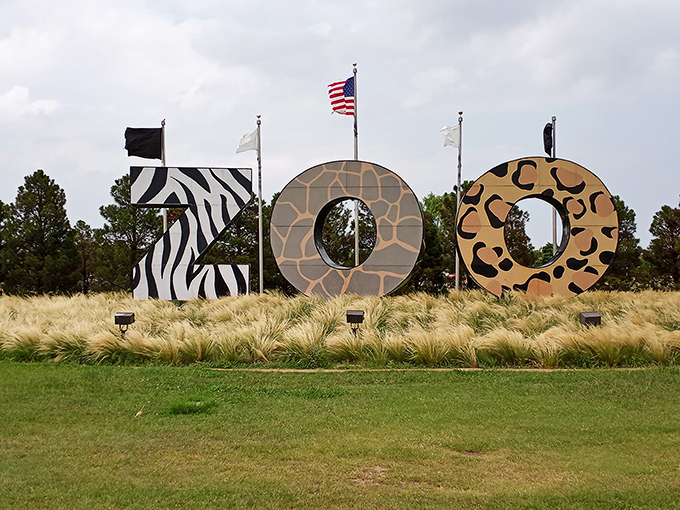 Abilene Zoo's playful animal-themed entrance signals the start of a wild adventure, where conservation meets education in the heart of West Texas.
