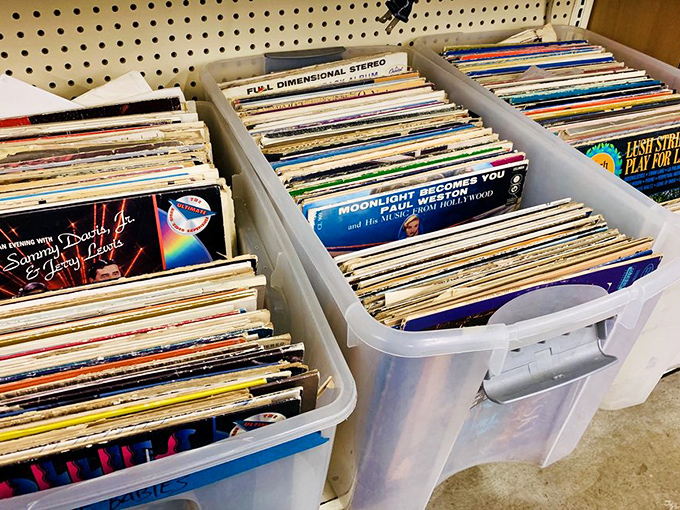 Vinyl treasures organized with librarian precision. That album your college roommate "borrowed" in 1982? It's probably waiting right here.