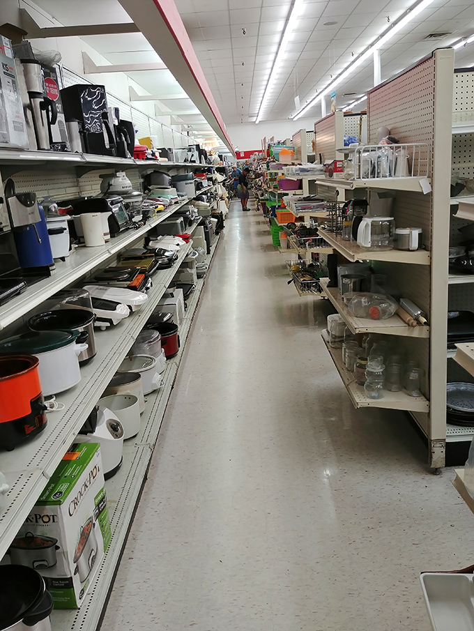 The small appliance aisle: where yesterday's kitchen innovations await their comeback tour. That 1980s slow cooker probably outlasted three marriages.