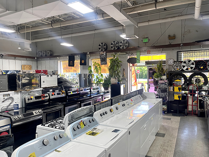 These pristine appliances prove that domestic dreams don't require lottery winnings to come true.