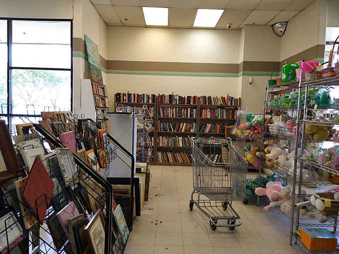 Books, stuffed animals, and shopping carts—the holy trinity of thrift store exploration. That cart isn't just transportation; it's your treasure chest.