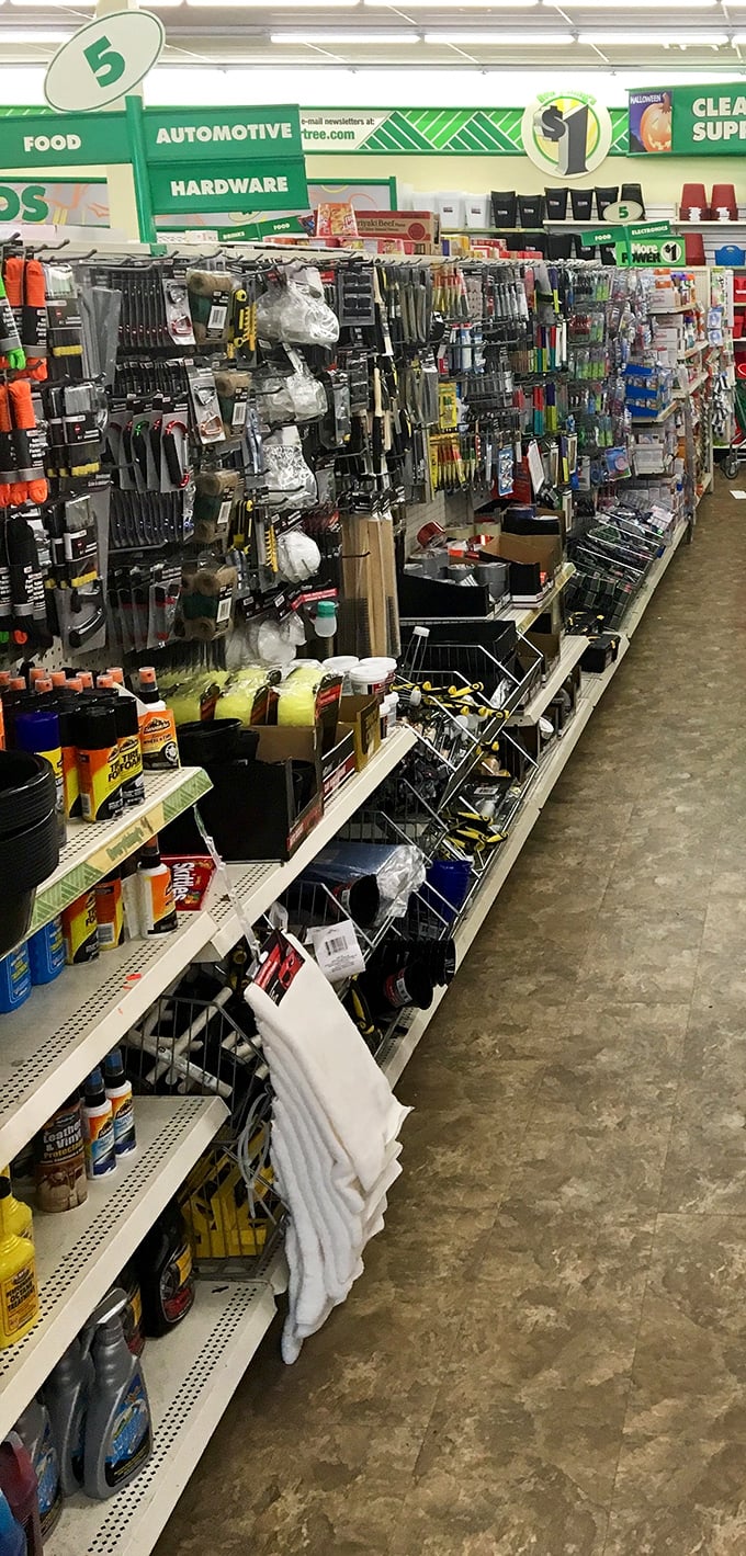 DIY dreams come true in the hardware section. From duct tape to screwdrivers, home repairs suddenly seem less daunting with these budget-friendly tools.