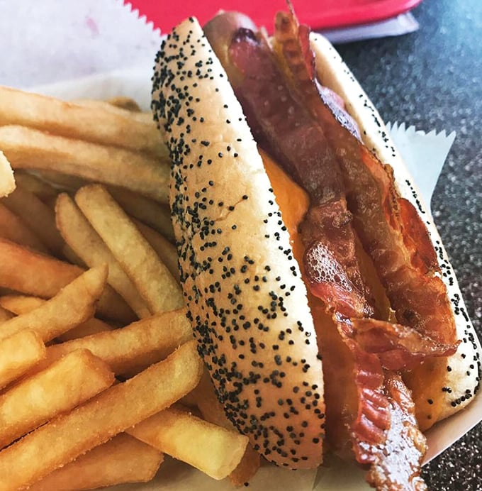 The bacon cheddar dog arrives like a well-dressed celebrity &ndash; poppy seed bun as the red carpet, bacon as the headliner, and those golden fries as the adoring fans.