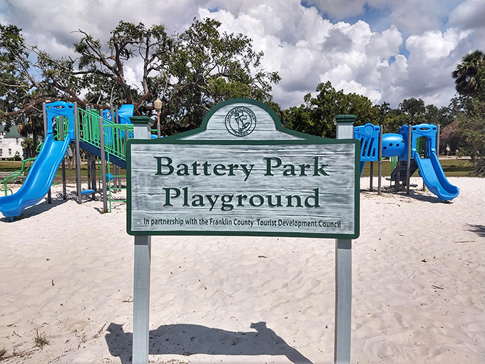 Battery Park Playground: where kids burn energy while parents secretly wish they could still fit down those slides. Beach sand beats woodchips any day!