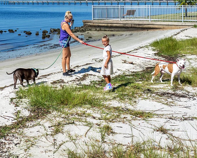 Beach days with four-legged friends &ndash; where the dogs have that "I can't believe they let us live here" look that matches their owners' expressions.