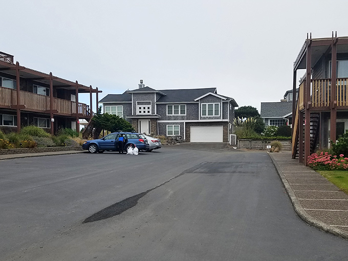 Beach homes line the shore like spectators at nature's greatest show, front-row seats to the Pacific's ever-changing moods.
