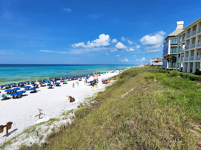 That moment when you realize your office Zoom background could actually be your real background. Pure beach bliss awaits.