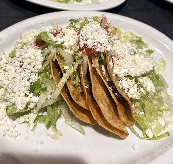 These tacos aren't just topped with cheese—they're crowned with it. Nestled on crisp lettuce, they're like royalty holding court on a throne of Mexican culinary tradition.