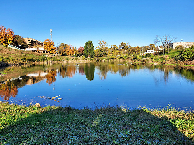 Fall colors reflect perfectly in this serene pond, creating nature's own Rorschach test. I see retirement bliss; what do you see?
