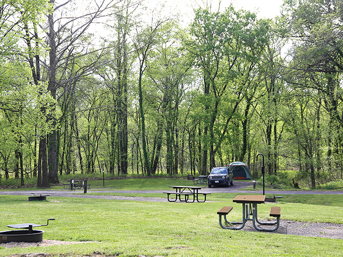 Picnic tables await under a canopy of Ozark greenery, where the soundtrack is birdsong and the occasional splash of a jumping fish.