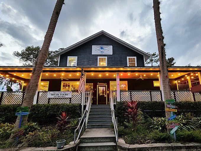 This isn't some corporate chain restaurant with laminated menus &ndash; it's the Blackwater Bar and Grill, where seafood arrives with stories, not slogans.