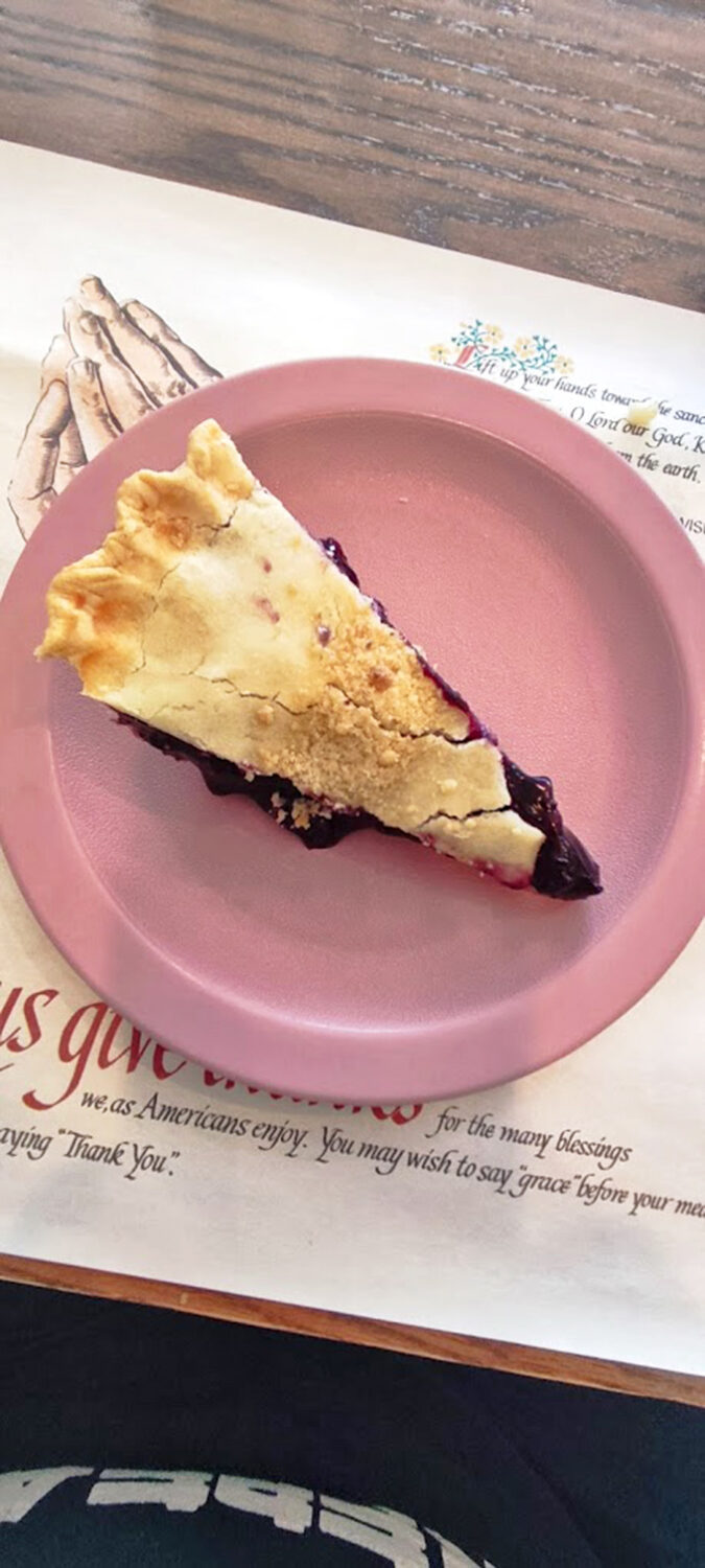 This slice of blueberry pie isn't just dessert; it's a purple-hued poem to summer, cradled in a flaky crust that shatters just right.