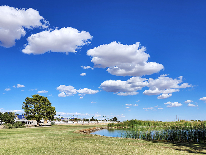 Under skies so vast they make your problems feel microscopic, Blythe's golf course offers a surprising patch of green serenity.
