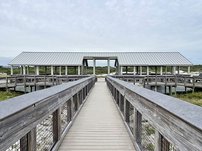 The boardwalk pavilion stands ready for picnics, proposals, and those "I need to sit down" moments after realizing how beautiful Florida really is.