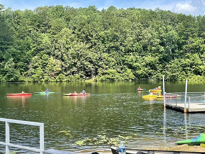 Kayakers proving that the best way to experience Tennessee's natural beauty is from water level. Those colorful boats look like confetti scattered across nature's blue tablecloth.
