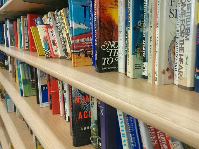 Literary treasures waiting to be discovered &ndash; some bestsellers, some mysteries, all ridiculously affordable adventures.