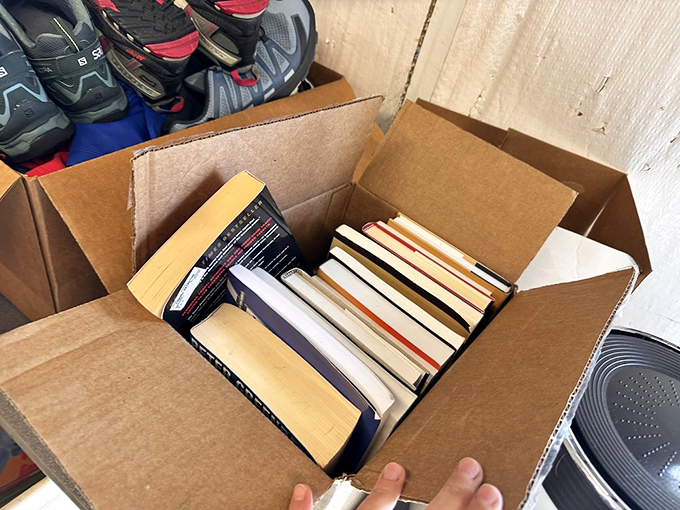 Literary gold mines in cardboard caskets—someone's discarded Stephen King could be your midnight companion for pocket change.