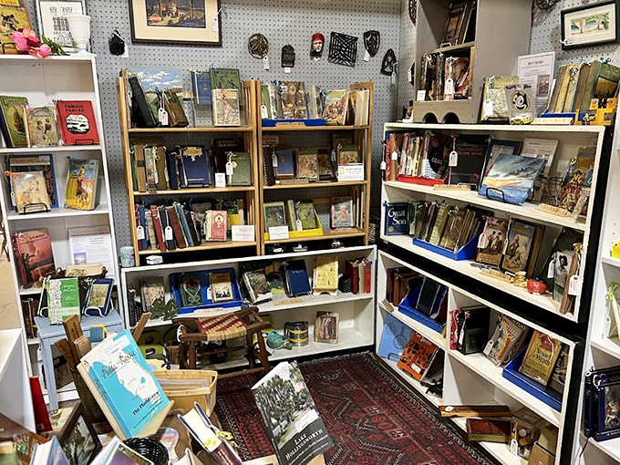 A bibliophile's corner of paradise where dog-eared classics and forgotten bestsellers await new homes. Books that have outlived their original owners, still telling stories.