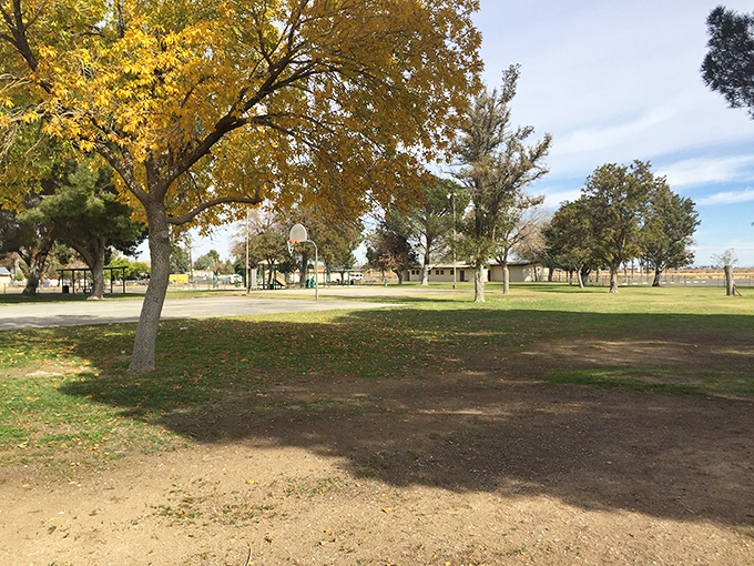 Fall foliage in the desert? Boron's community park offers surprising seasonal color and blessed shade for afternoon contemplation.