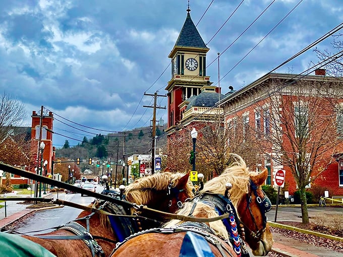 Horse-drawn carriage rides through Bradford offer that rare "time travel on a budget" experience, complete with authentic clip-clop soundtrack.