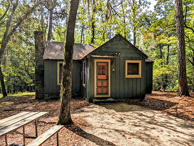 This CCC-built cabin hasn't changed much since FDR was president. The rustic simplicity makes five-star hotels feel unnecessarily complicated. 