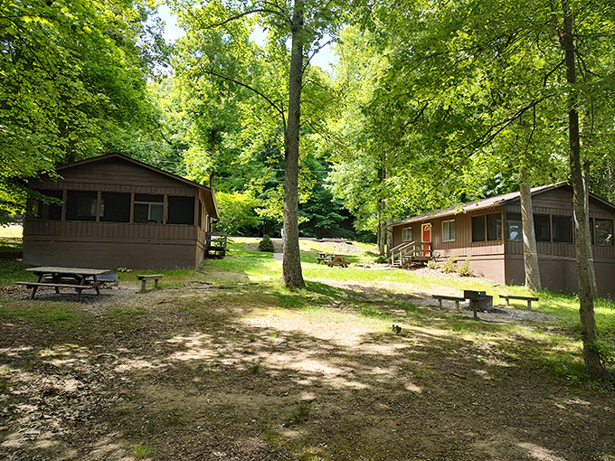 Rustic cabins nestled among towering trees offer that perfect middle ground between roughing it and room service.